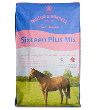 Dodson & Horrell Sixteen Plus Mix – Leighs Animal Feeds