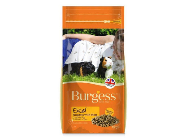Excel Guinea Pig Mint Nuggets – Leighs Animal Feeds